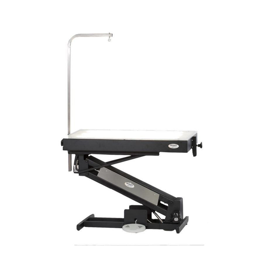 Petlift MasterLift LowRider Lighted Top Electric Grooming Table ...
